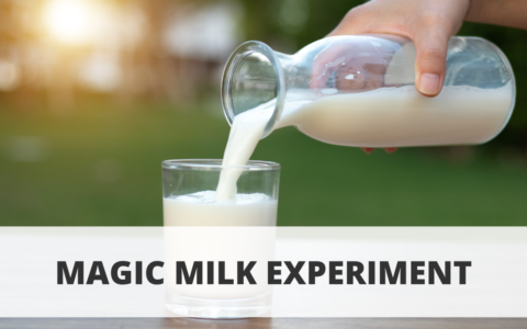 Magic Milk Experiment | Virtually BGCMC